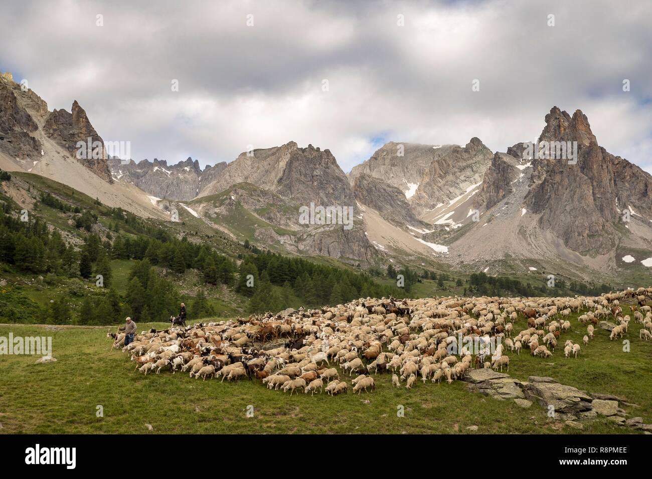 Main de crepin massif hi-res stock photography and images - Alamy