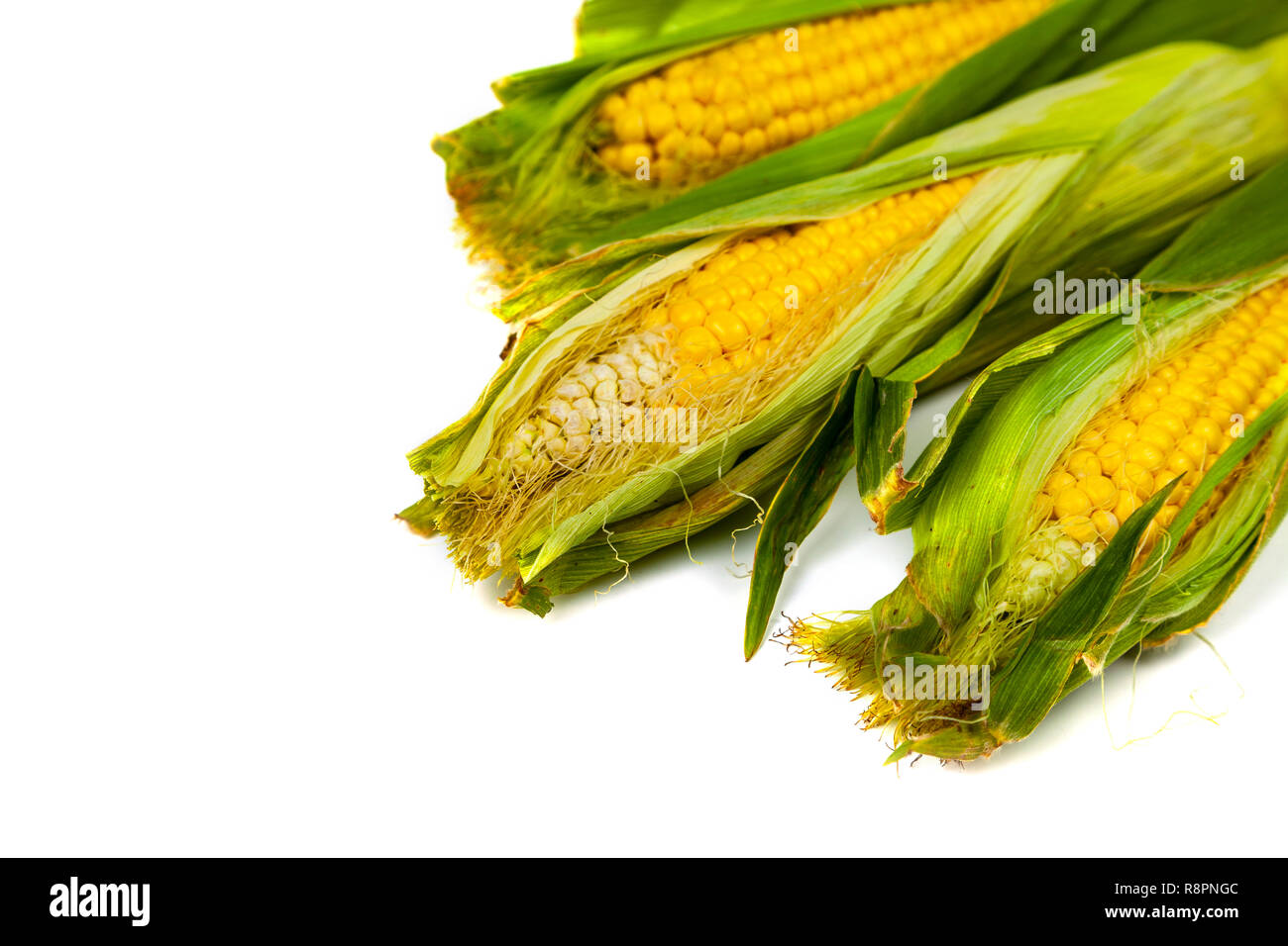 Ripe yellow corn isolated on white background Stock Photo - Alamy