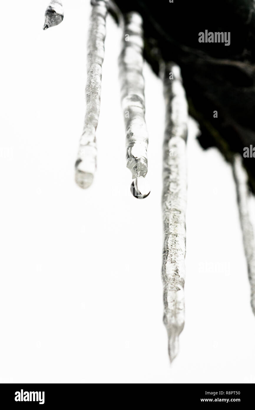 Water icicle dripping Stock Photo - Alamy