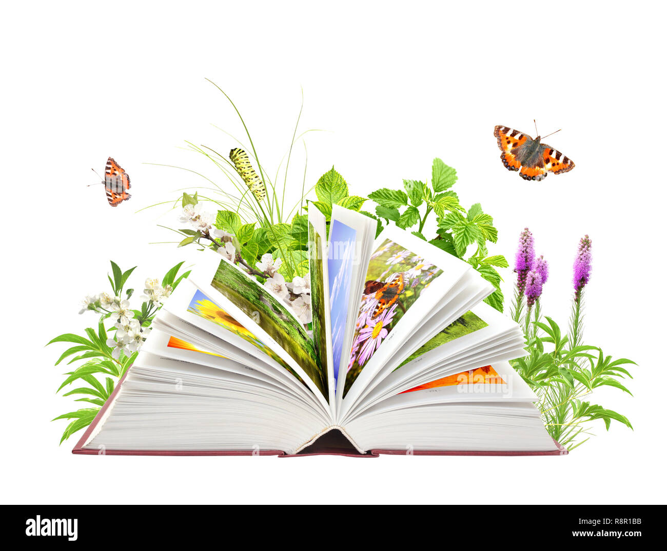 Literary nature Cut Out Stock Images & Pictures - Alamy
