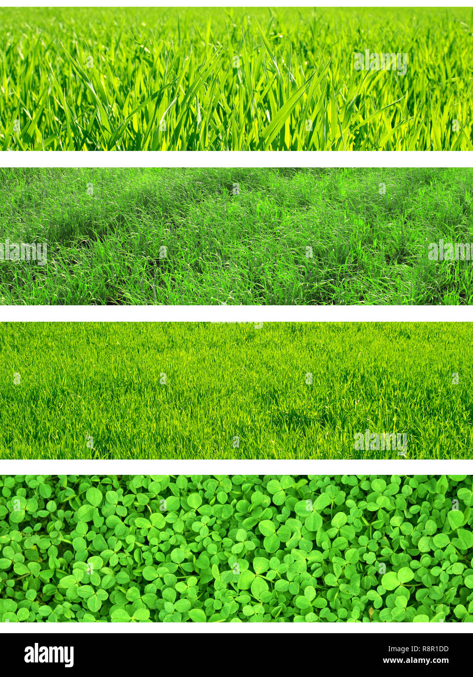 Collection of bsnners with green grass Stock Photo - Alamy