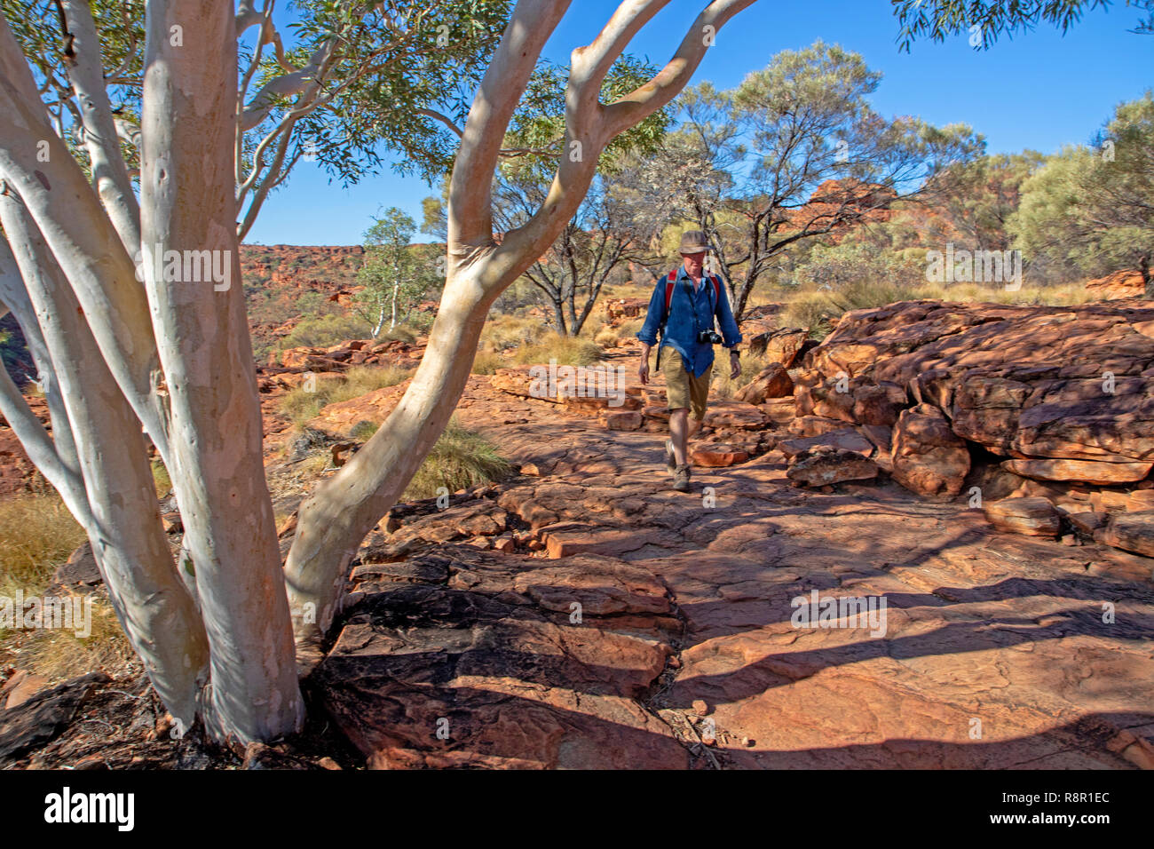 Hiking on the rim walk at Kings Canyon Stock Photo - Alamy