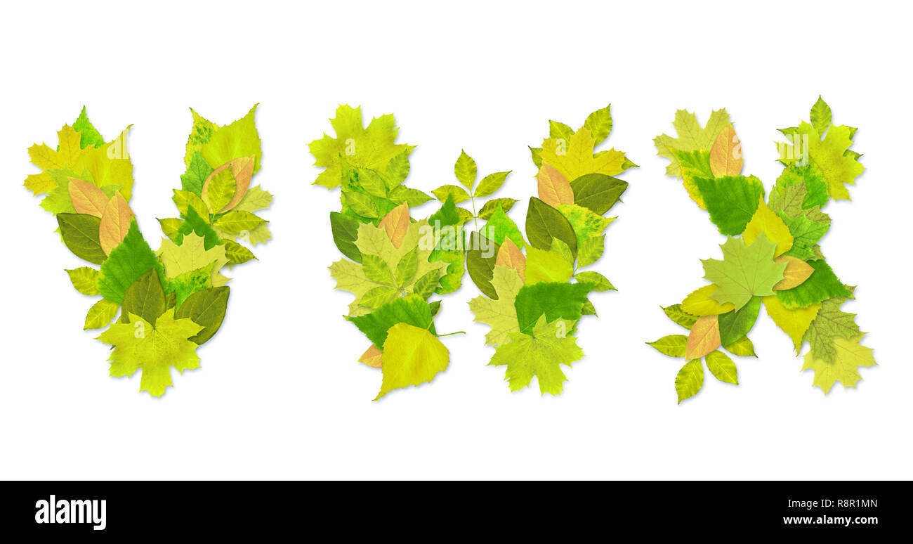 Alphabet - letters with a green leaves. Set 8 Stock Photo - Alamy
