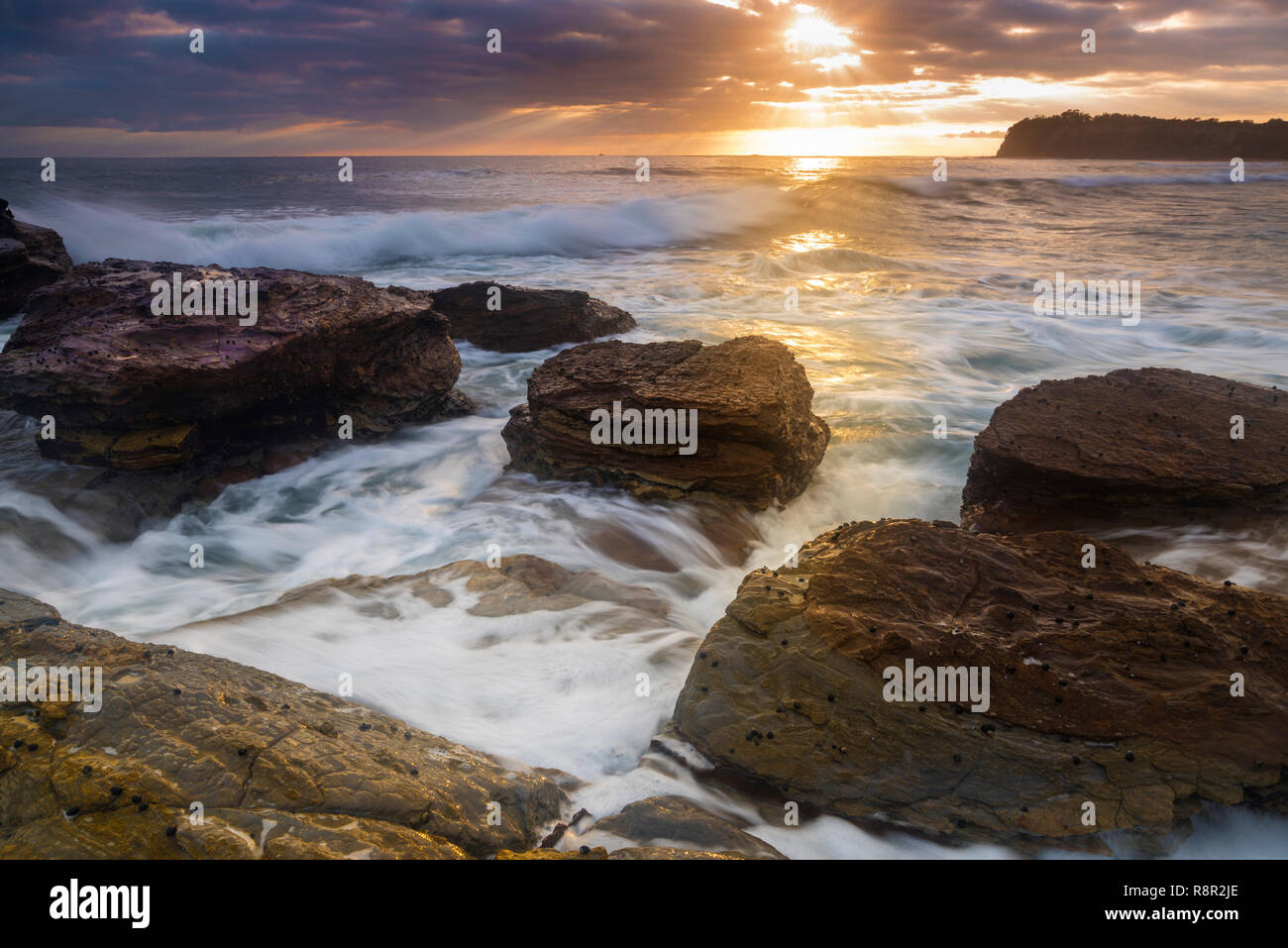 Collaroy is a suburb in northern Sydney, in the state of New South ...