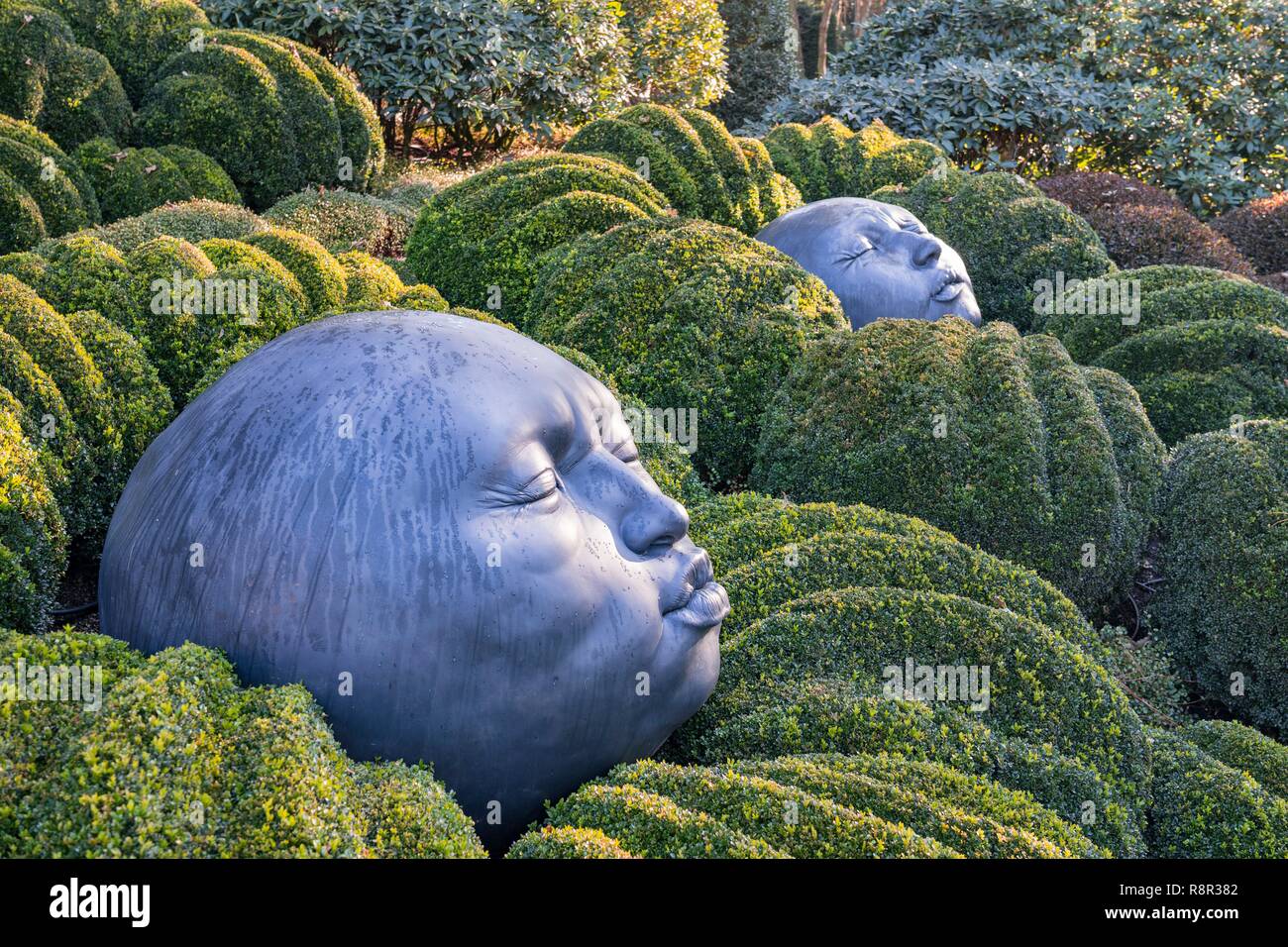 France, Seine Maritime, Etretat, Etretat garden, Drops of Rain, Samuel ...