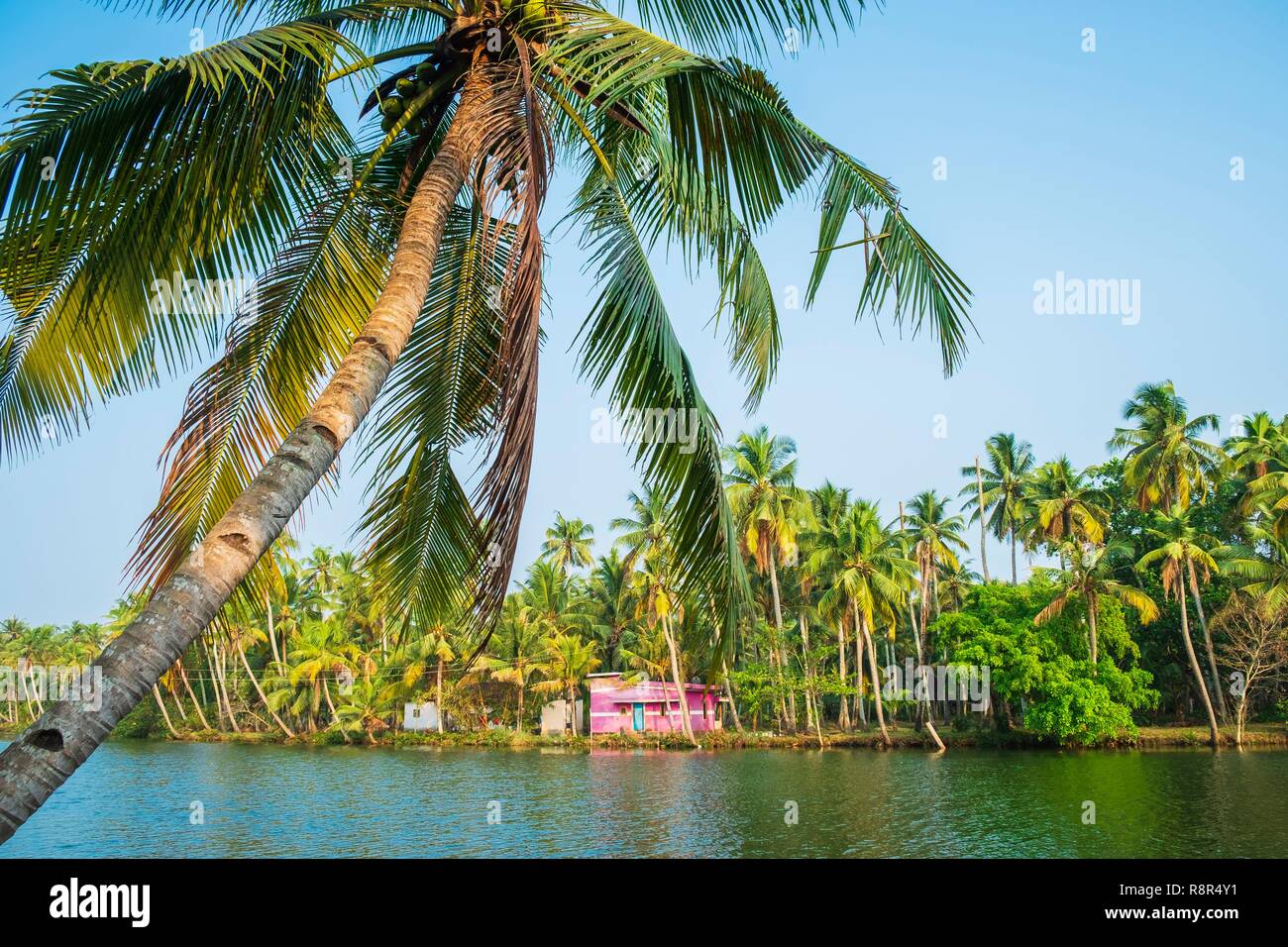 India, state of Kerala, Kollam district, Munroe island or Munroturuttu ...