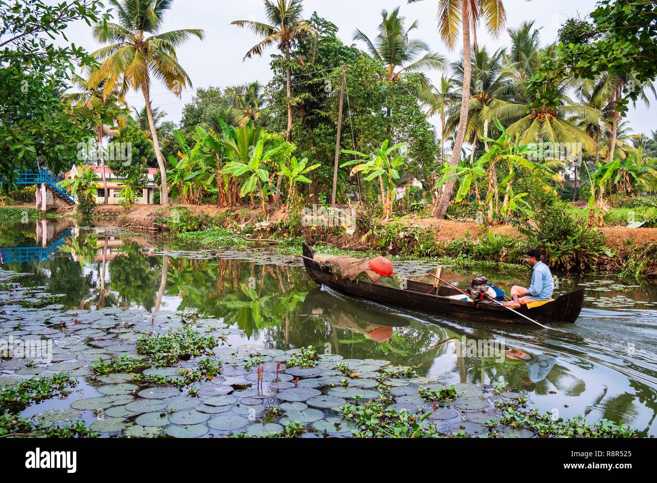 India, state of Kerala, Kumarakom, village set in the backdrop of the ...