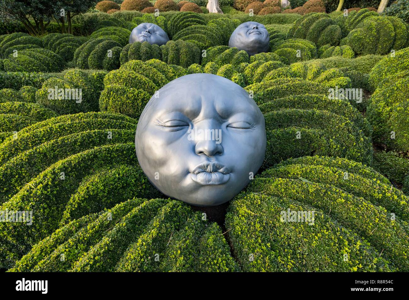 France, Seine Maritime, Etretat, Etretat garden, Drops of Rain, Samuel ...
