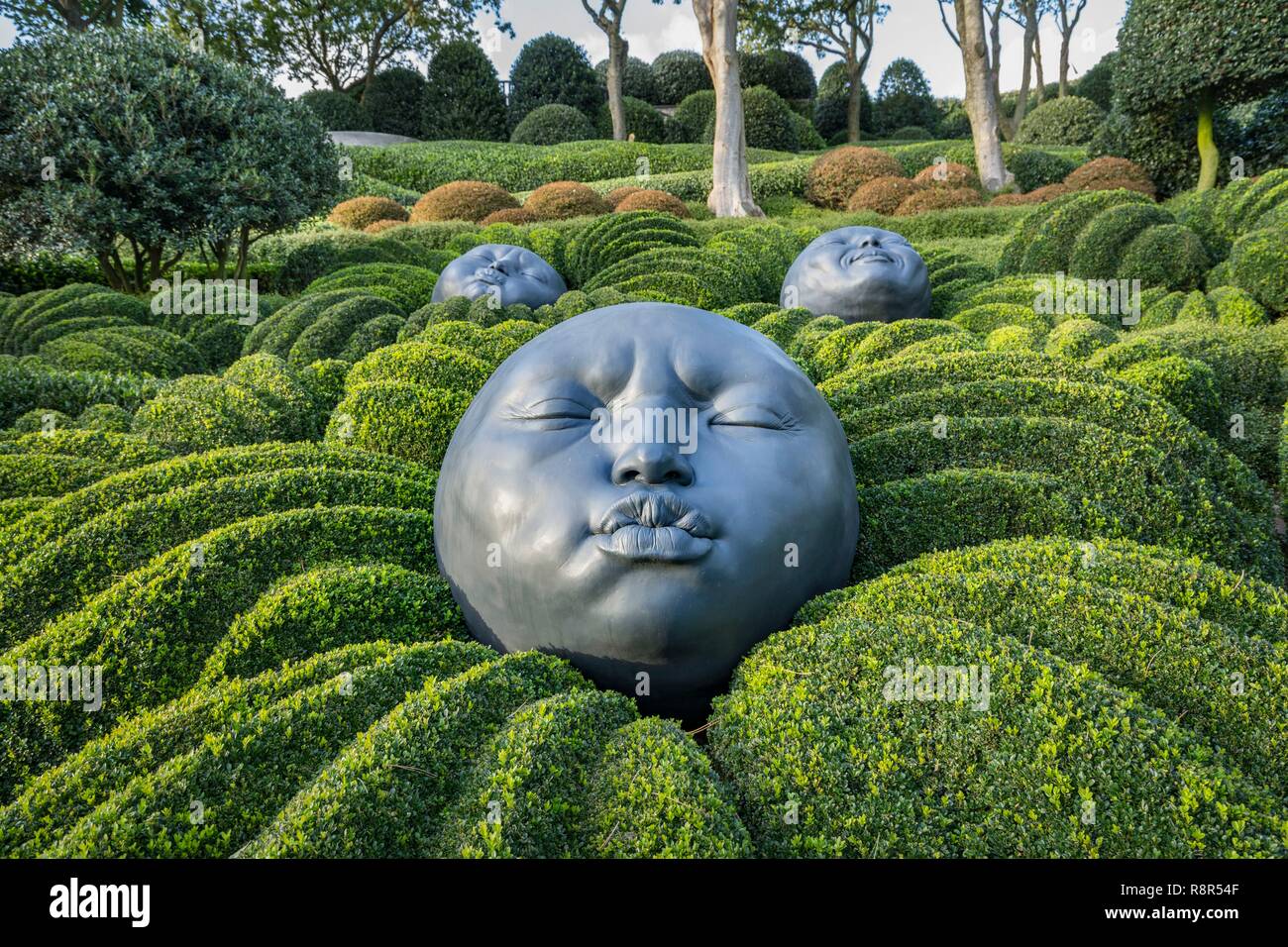 France, Seine Maritime, Etretat, Etretat garden, Drops of Rain, Samuel ...