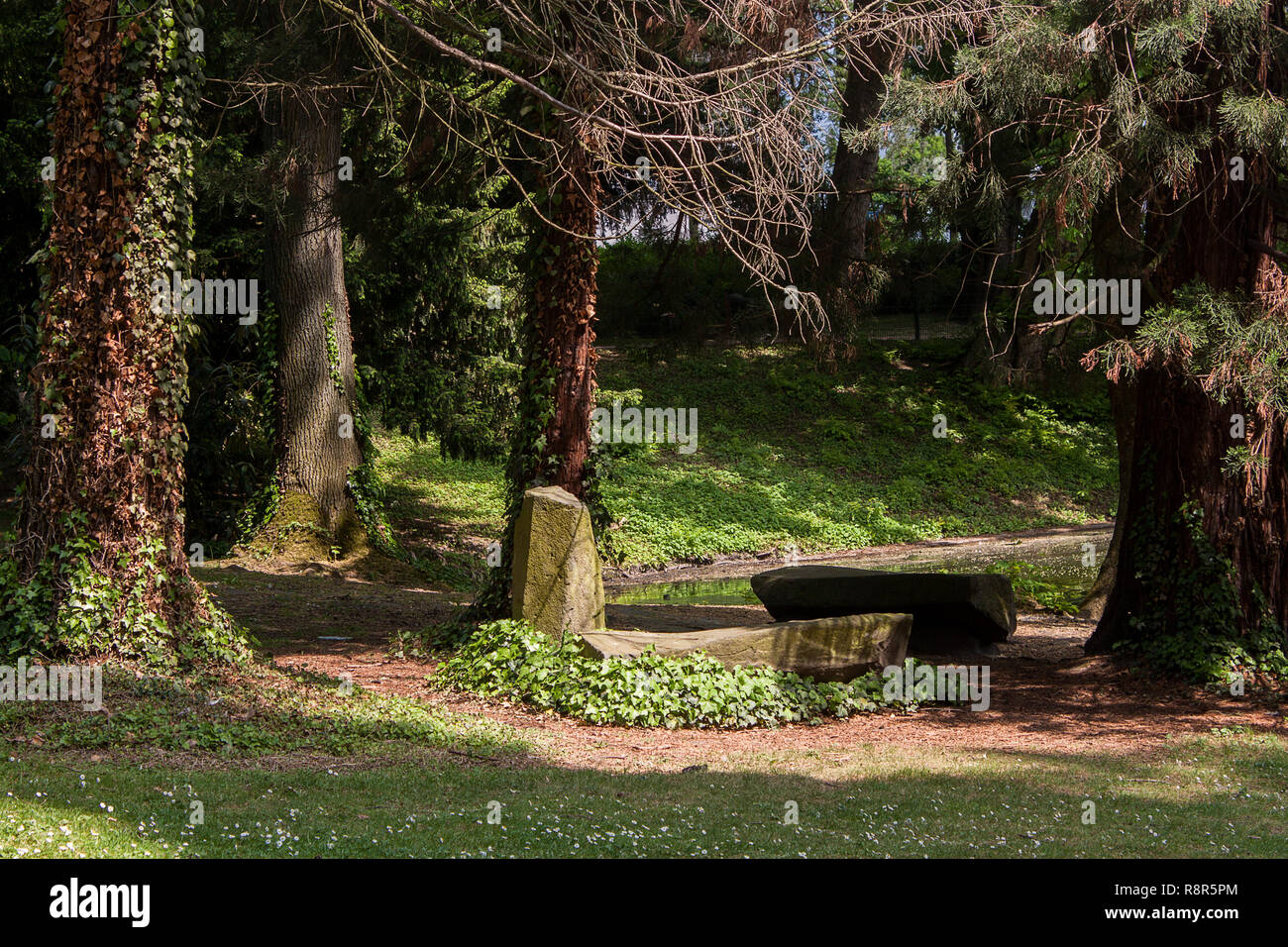 Beautiful park scene in public park with green grass field and green ...