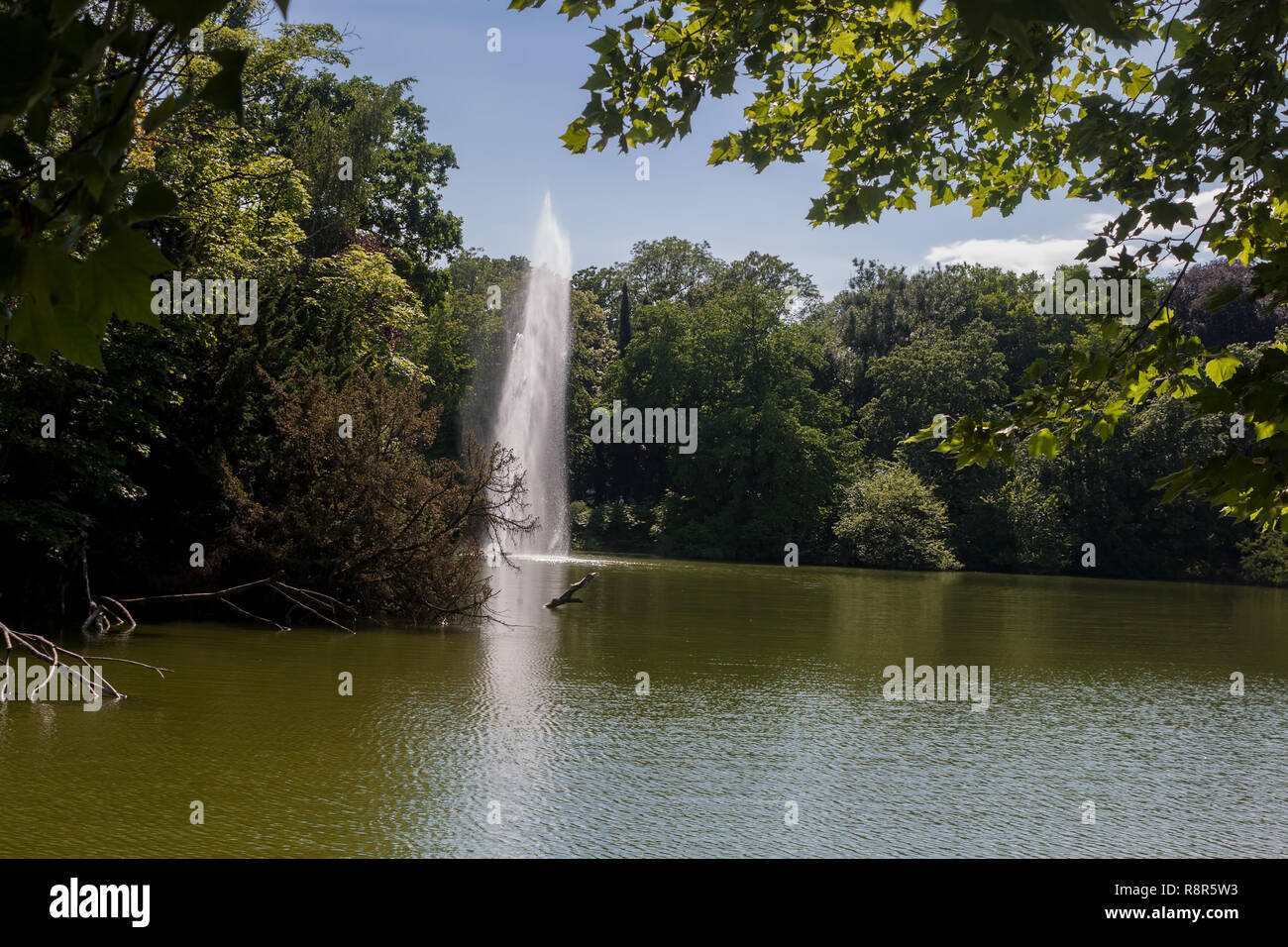 Beautiful park scene in public park with green grass field, green tree ...