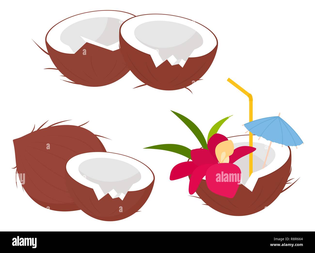 Coconut fruits collection in cartoon style. Coconut whole and half ...