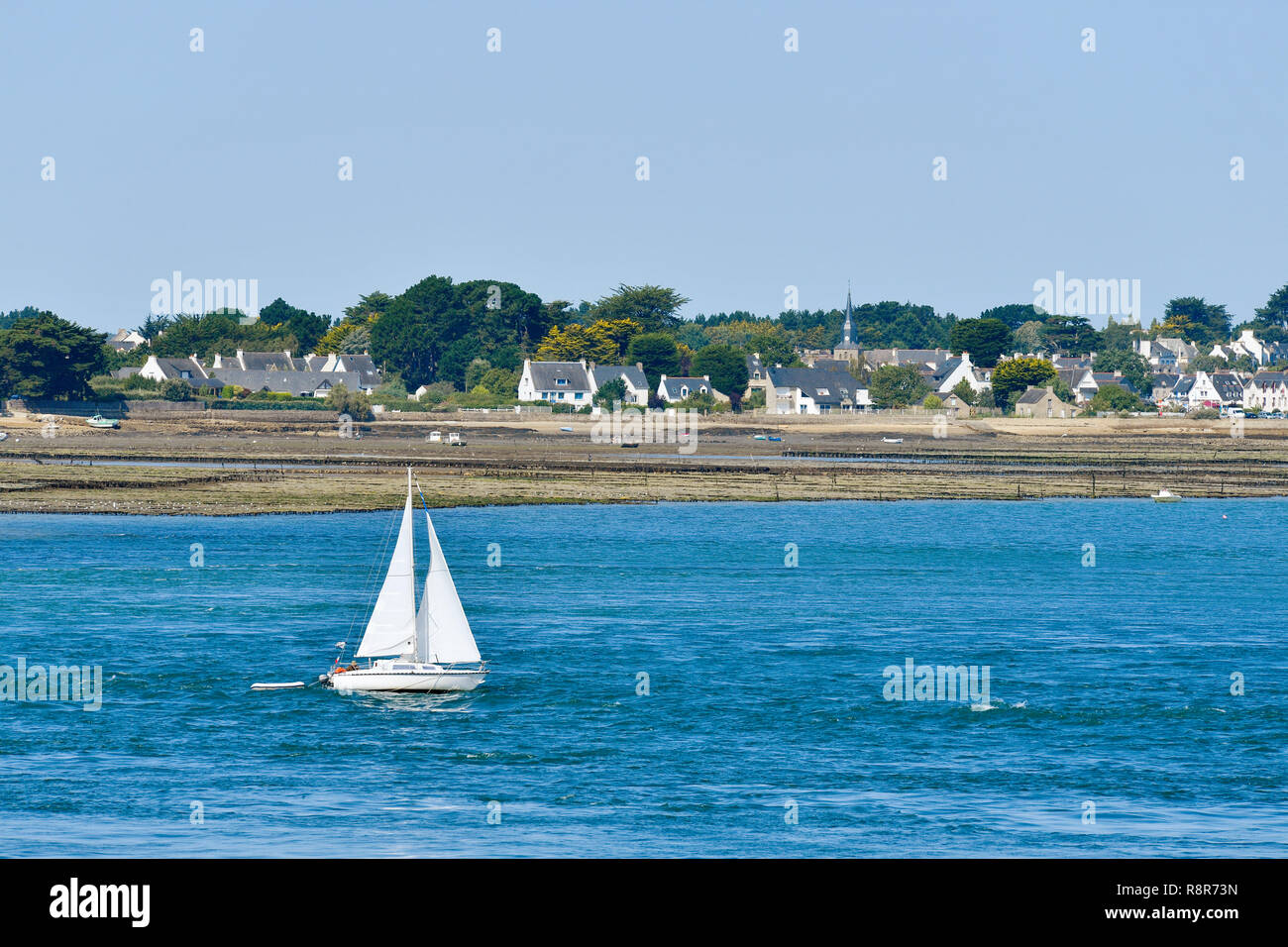 France, Morbihan, Gulf of Morbihan, Regional Natural Park of the Gulf ...