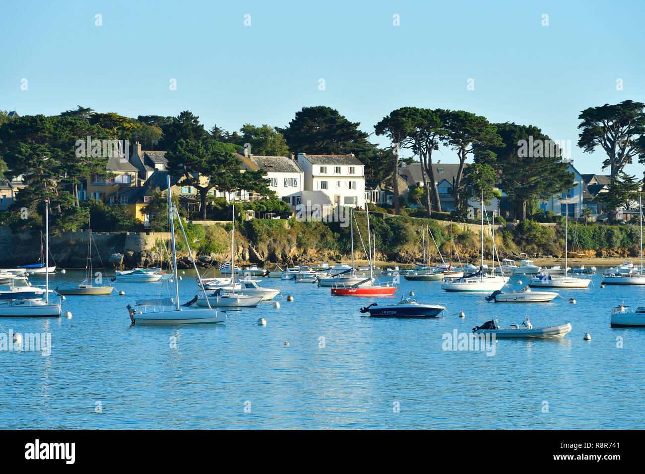 France, Morbihan, Gulf of Morbihan, Regional Natural Park of the Gulf ...