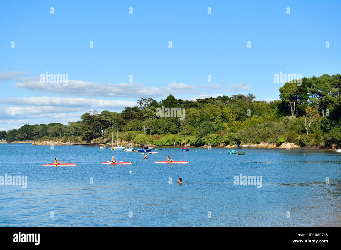France, Morbihan, Gulf of Morbihan, Regional Natural Park of the Gulf ...