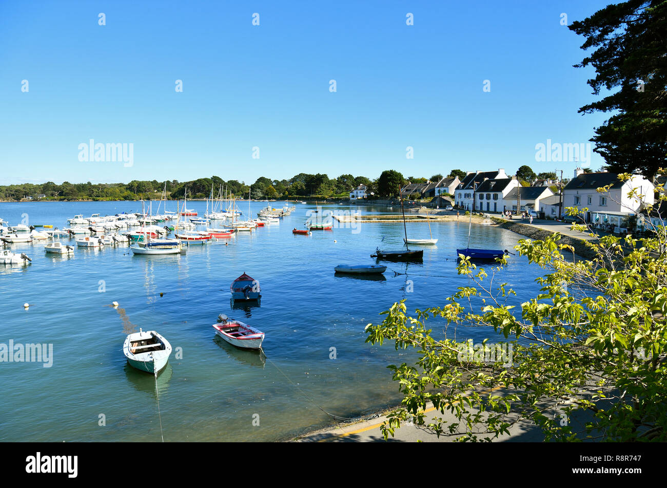 France, Morbihan, Gulf of Morbihan, Regional Natural Park of the Gulf ...