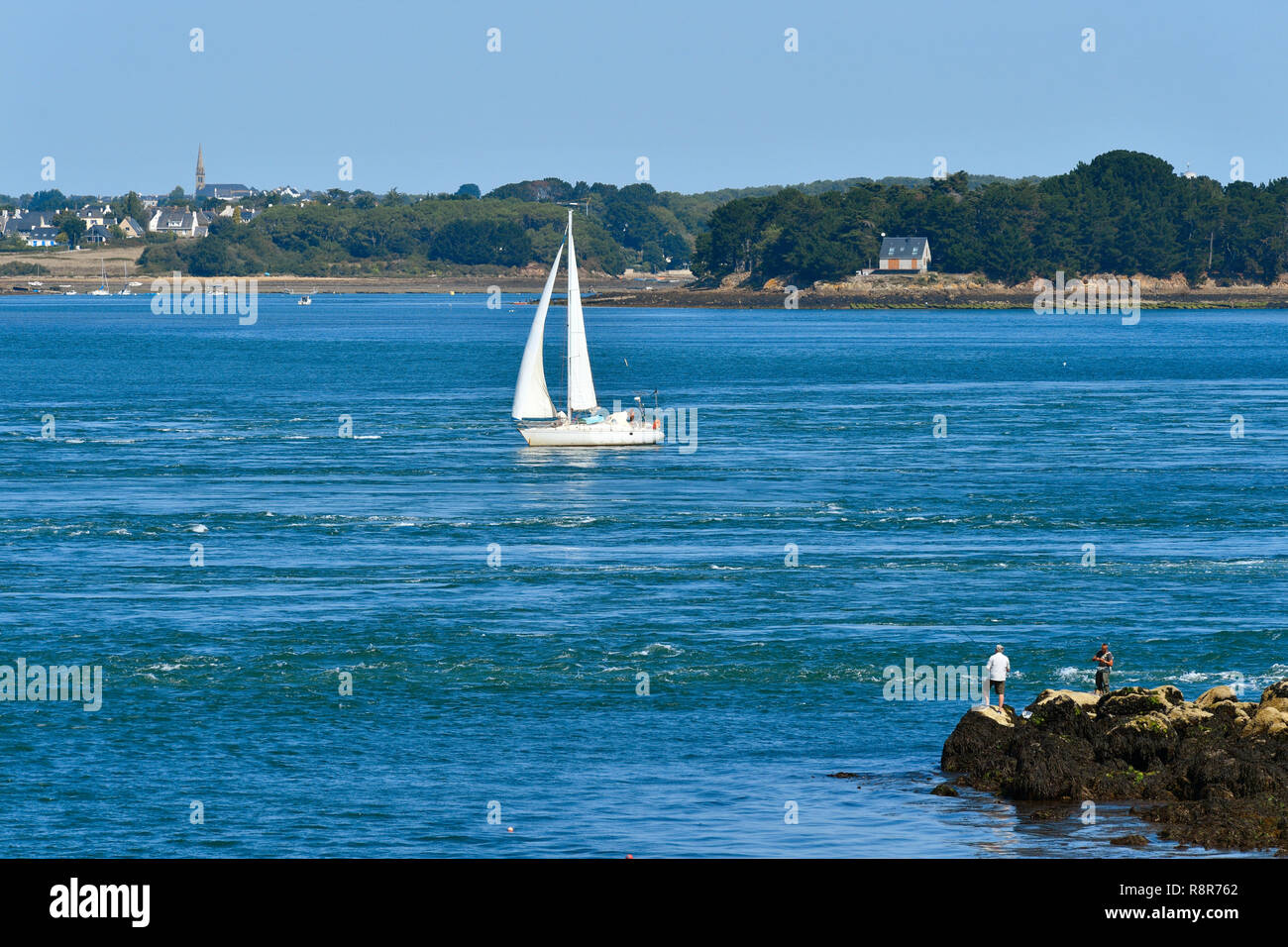 France, Morbihan, Gulf of Morbihan, Regional Natural Park of the Gulf ...