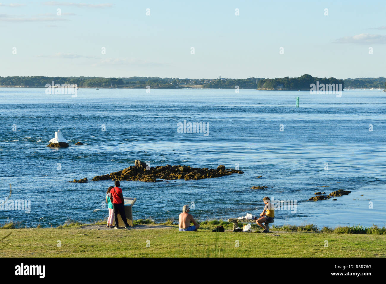 France, Morbihan, Gulf of Morbihan, Regional Natural Park of the Gulf ...