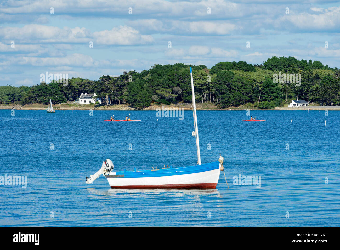 France, Morbihan, Gulf of Morbihan, Regional Natural Park of the Gulf ...