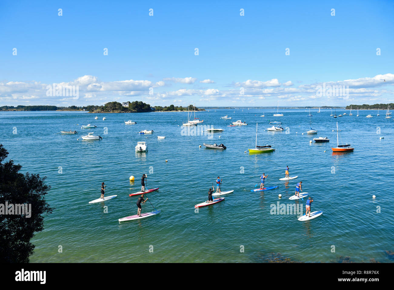 France, Morbihan, Gulf of Morbihan, Regional Natural Park of the Gulf ...