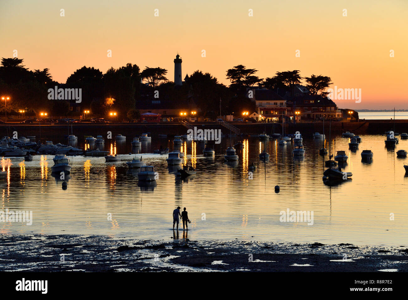 France, Morbihan, Gulf of Morbihan, Regional Natural Park of the Gulf ...