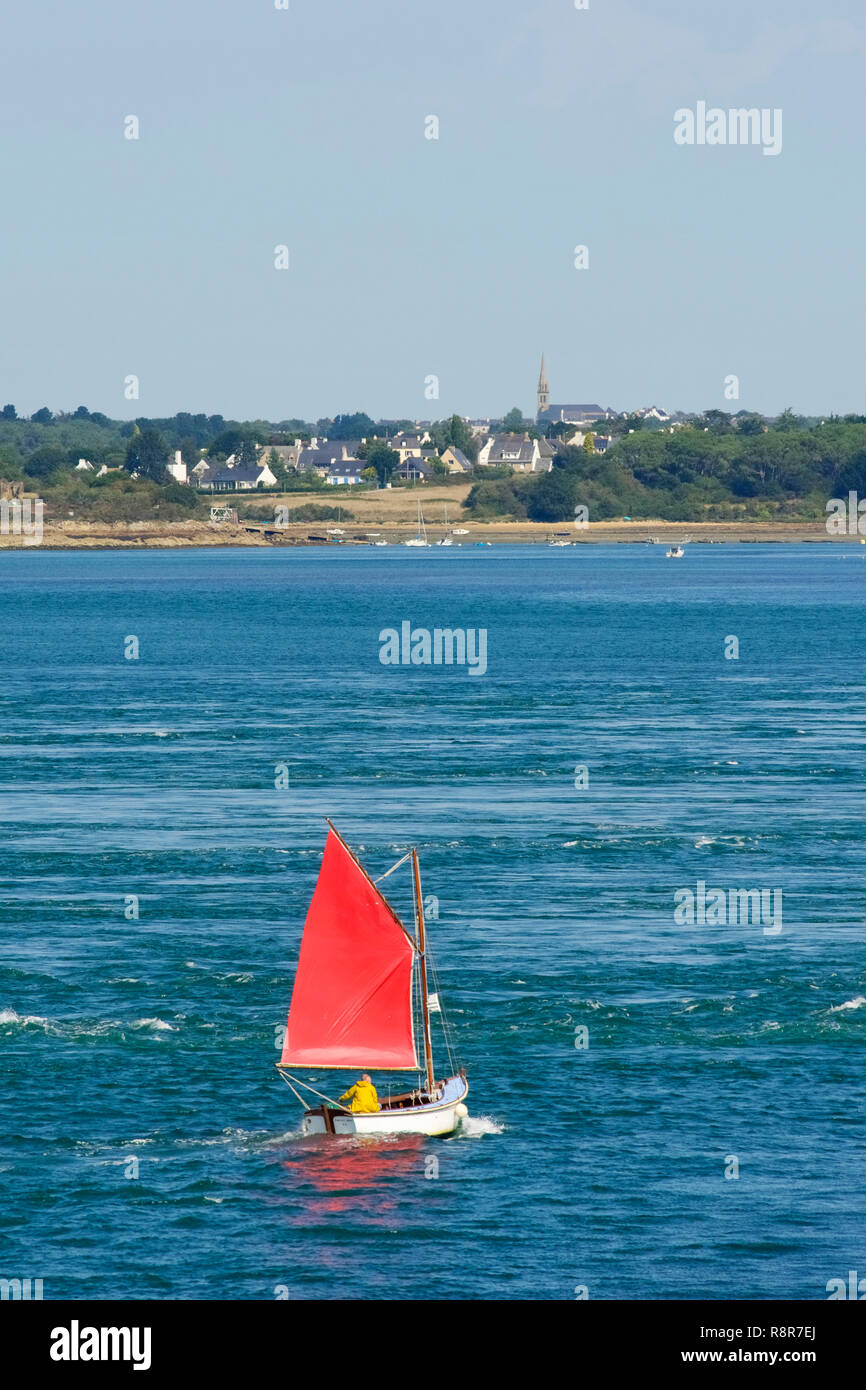France, Morbihan, Gulf of Morbihan, Regional Natural Park of the Gulf ...