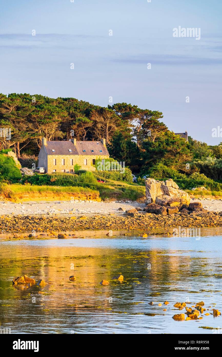 France, Cotes d'Armor, Plougrescant, on the GR 34 hiking trail, Castel ...