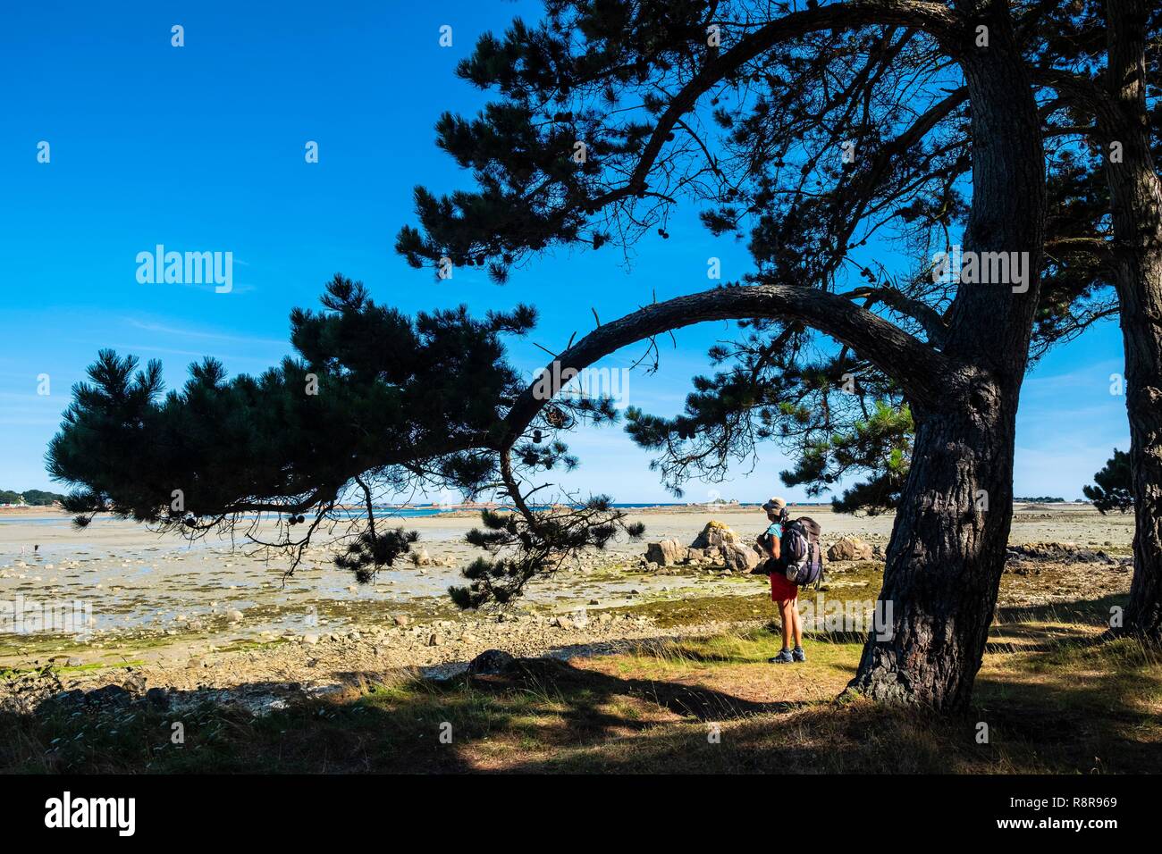 France, Cotes d'Armor, Plougrescant, Anse de Gouermel on the GR 34 ...