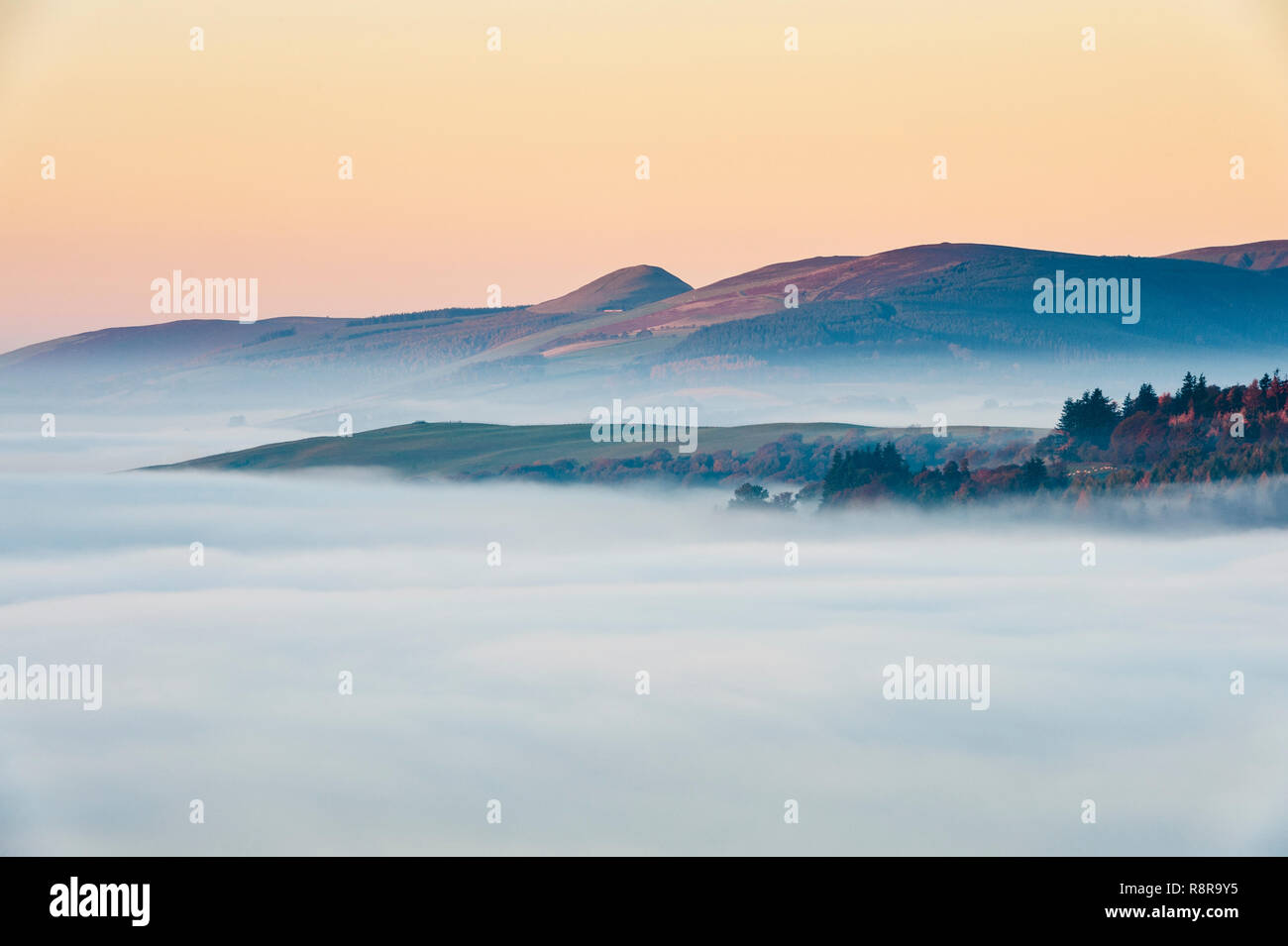 On the Welsh border near Knighton, Powys, UK. Early morning view west ...