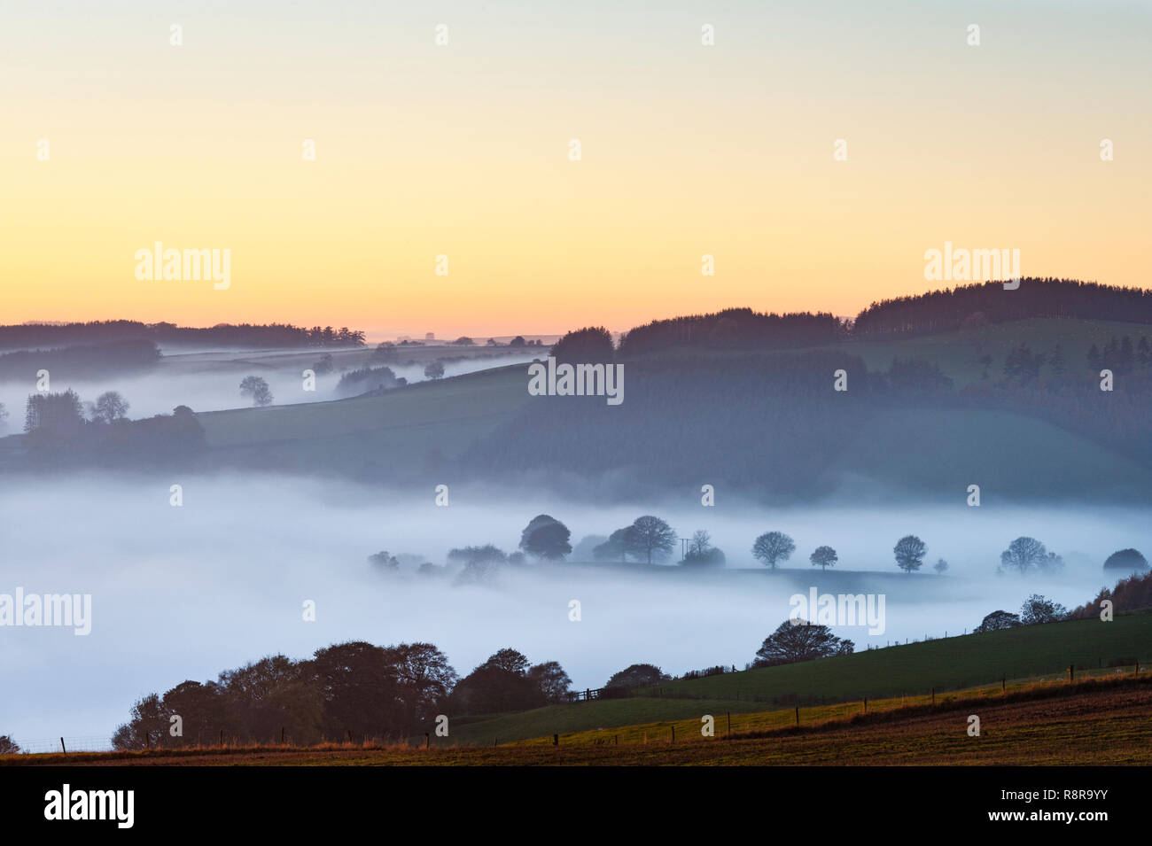 Fog foggy weather uk british britain hi-res stock photography and ...