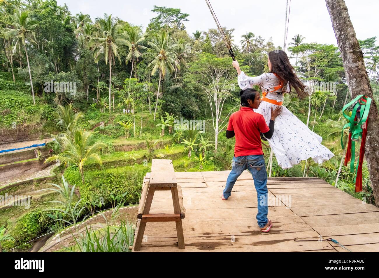Indonesia, Bali, Center, Ubud Region, Giant Giant Giant Rope Above ...