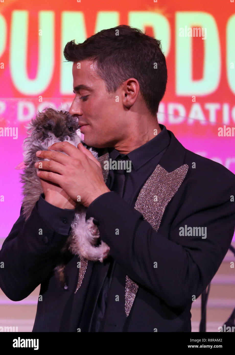 3rd Annual Vanderpump Dog Foundation Gala Inside Featuring: John Sessa ...