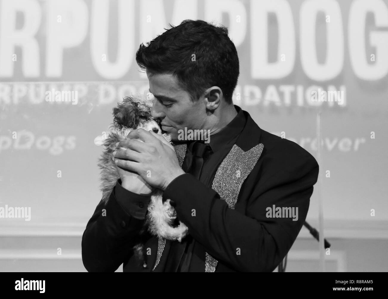 3rd Annual Vanderpump Dog Foundation Gala Inside Featuring: John Sessa ...