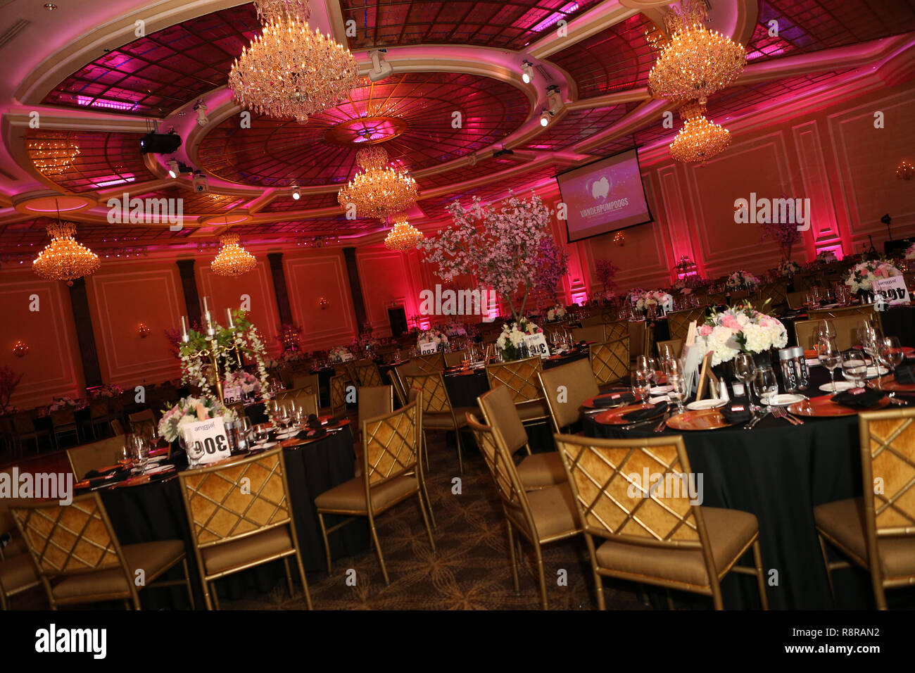 3rd Annual Vanderpump Dog Foundation Gala Inside Featuring: Atmosphere ...