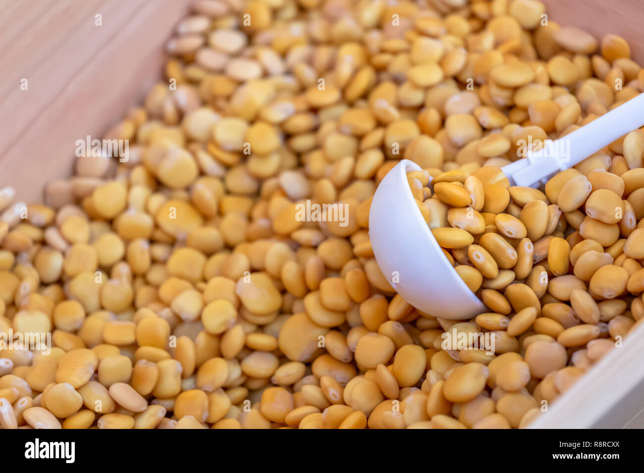 Lupin seed pattern hi-res stock photography and images - Alamy