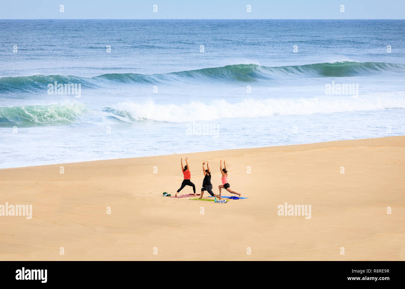 Truc vert hi-res stock photography and images - Alamy