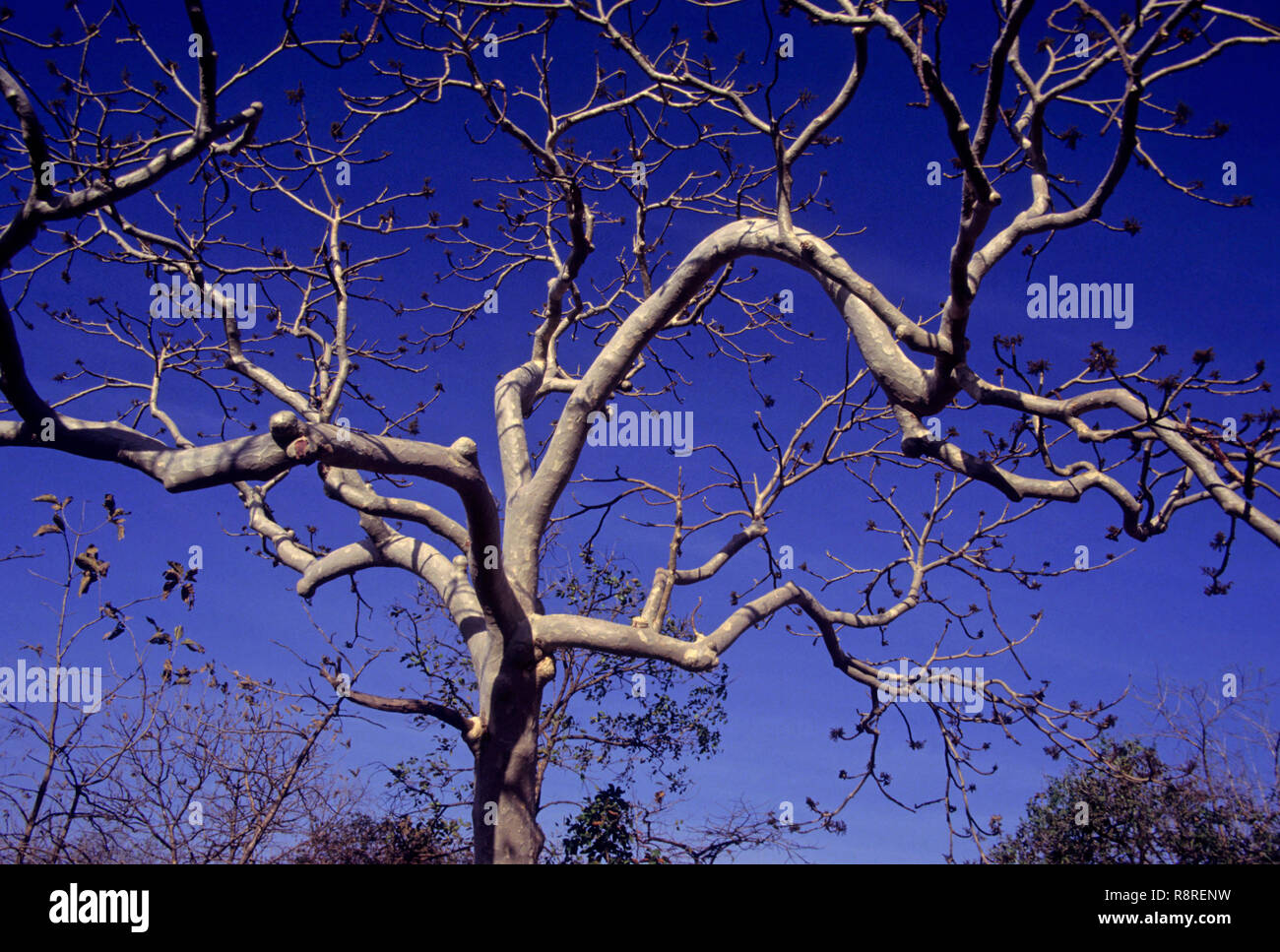 15714 hi-res stock photography and images - Alamy