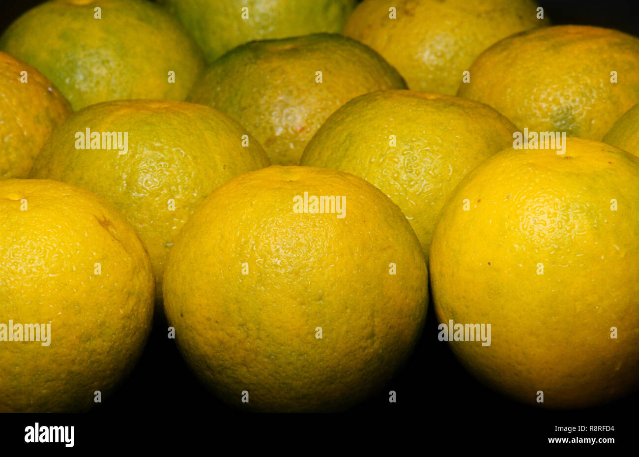 Fruits - Sweet Lime Stock Photo - Alamy