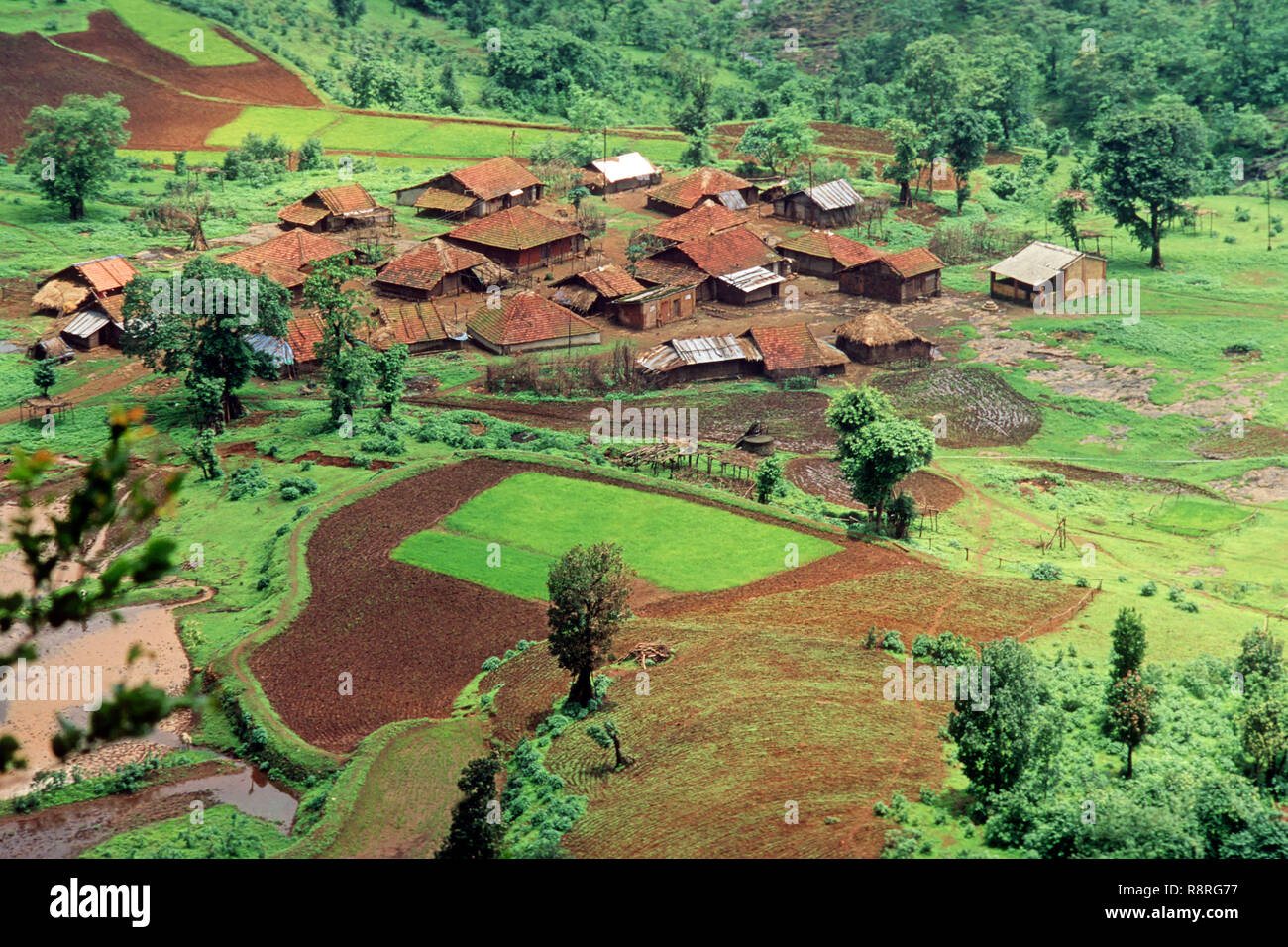 Malshej Ghat, Maharashtra, India Stock Photo - Alamy
