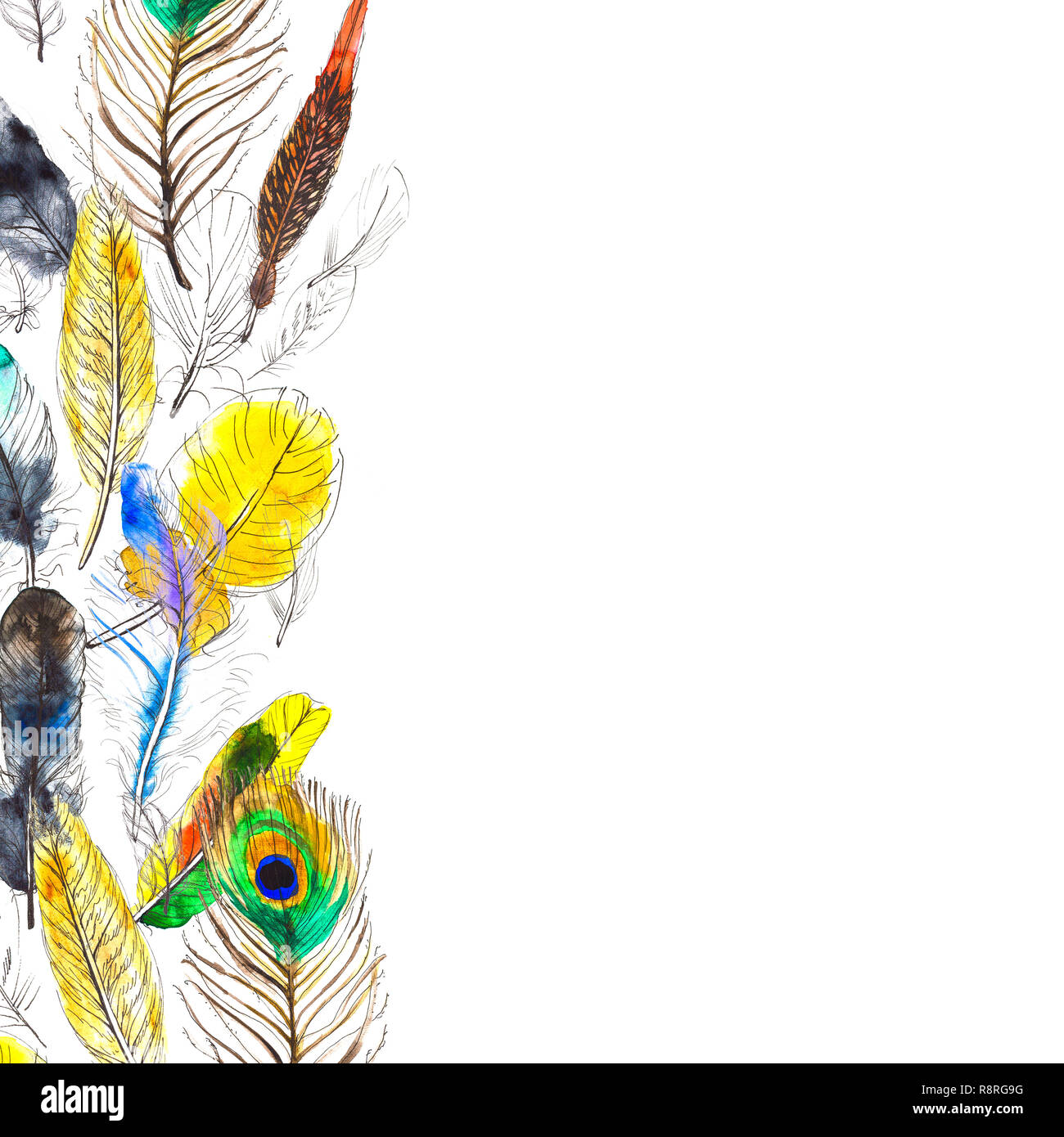 Watercolor frame with colorful feathers on white background Stock Photo ...