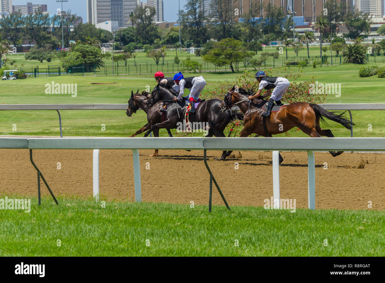 Race horses exiting track starting gates Stock Photo - Alamy