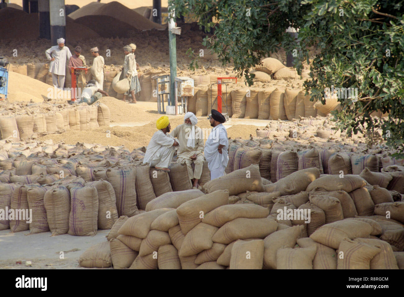 Mandi india hi-res stock photography and images - Alamy