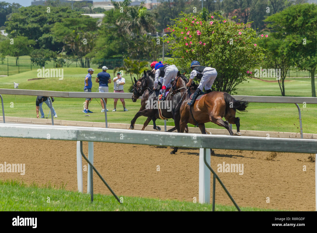 Horses starting race gates hi-res stock photography and images - Alamy