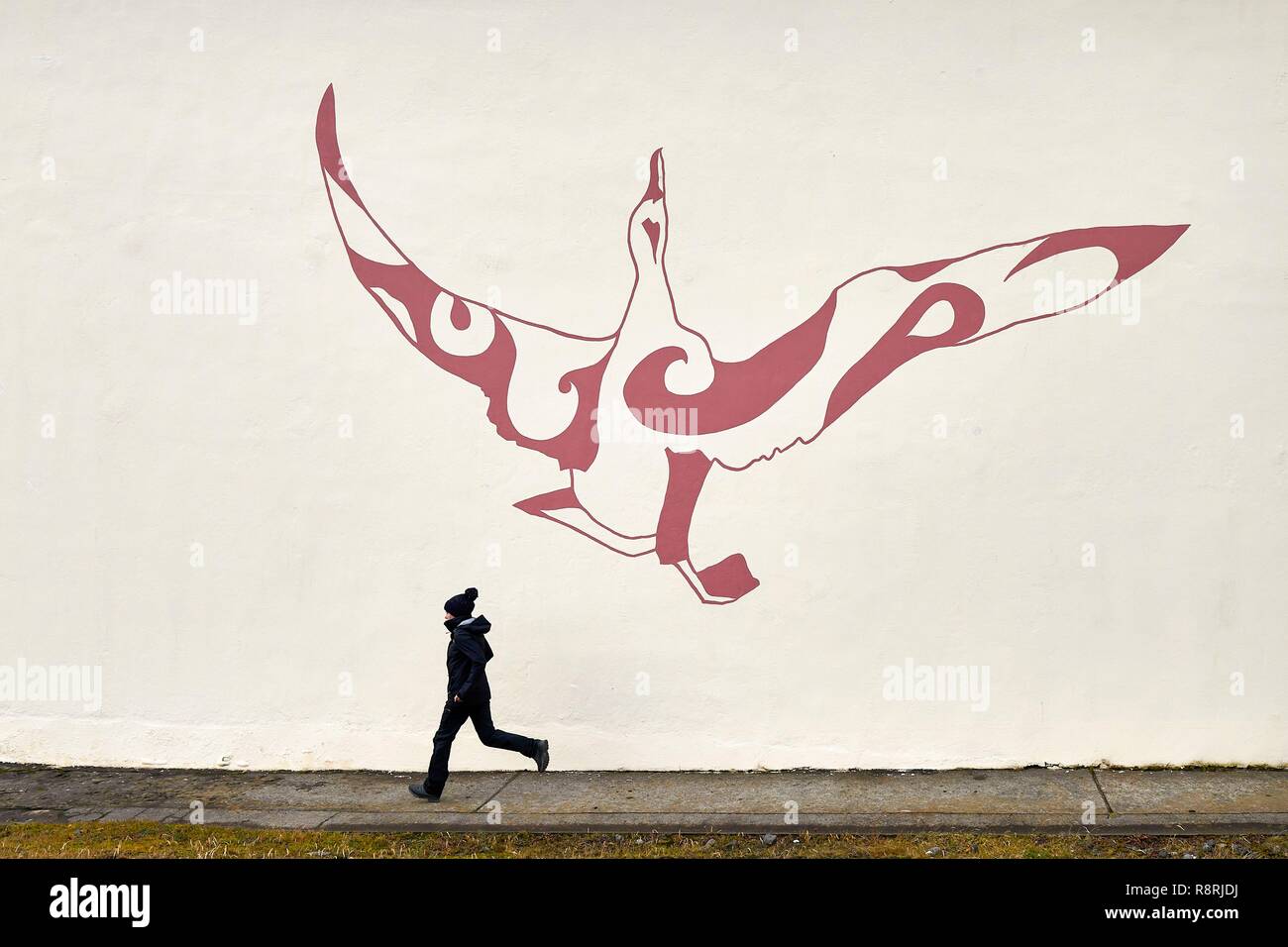 France, French Southern and Antarctic Lands, Crozet Islands, Ile de la ...