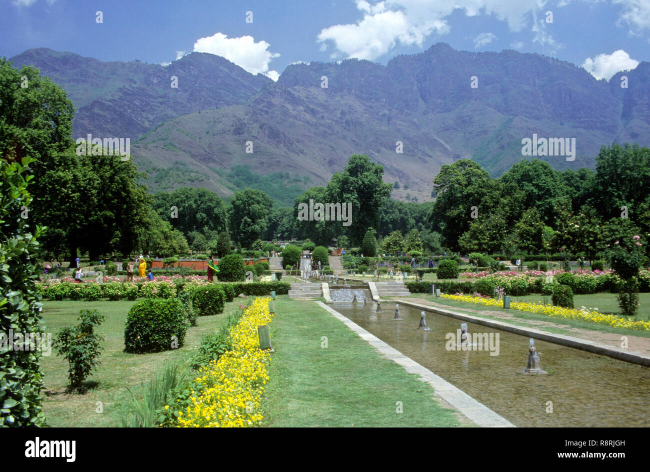 Nishat Bagh, Mughal Garden, Srinagar, Jammu and Kashmir, India, Asia ...