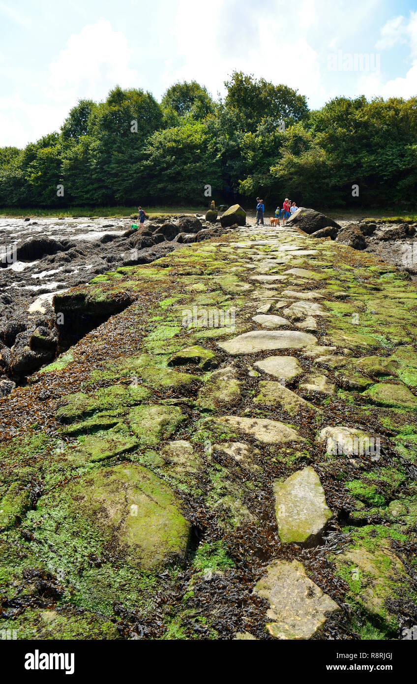 France, Finistere, Pays des Abers, Legends Coast, Plouguerneau, Pont ...