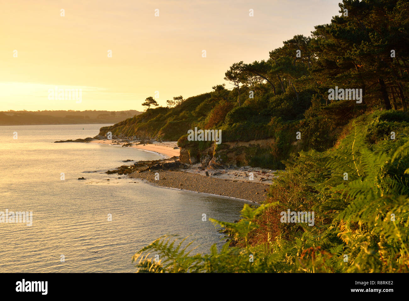 France, Finistere, Morlaix bay, Carantec beach Stock Photo - Alamy