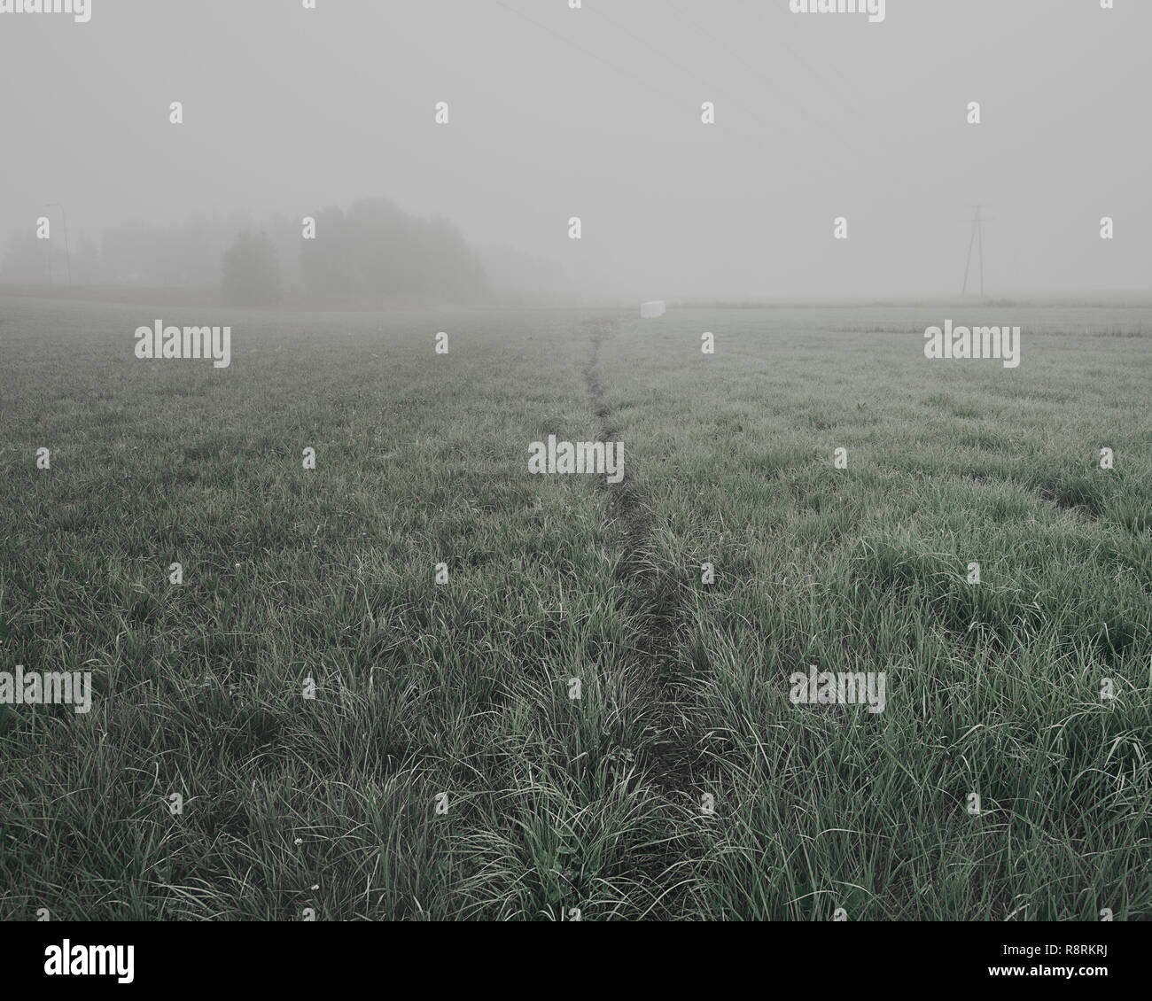 Depressing beauty hi-res stock photography and images - Alamy