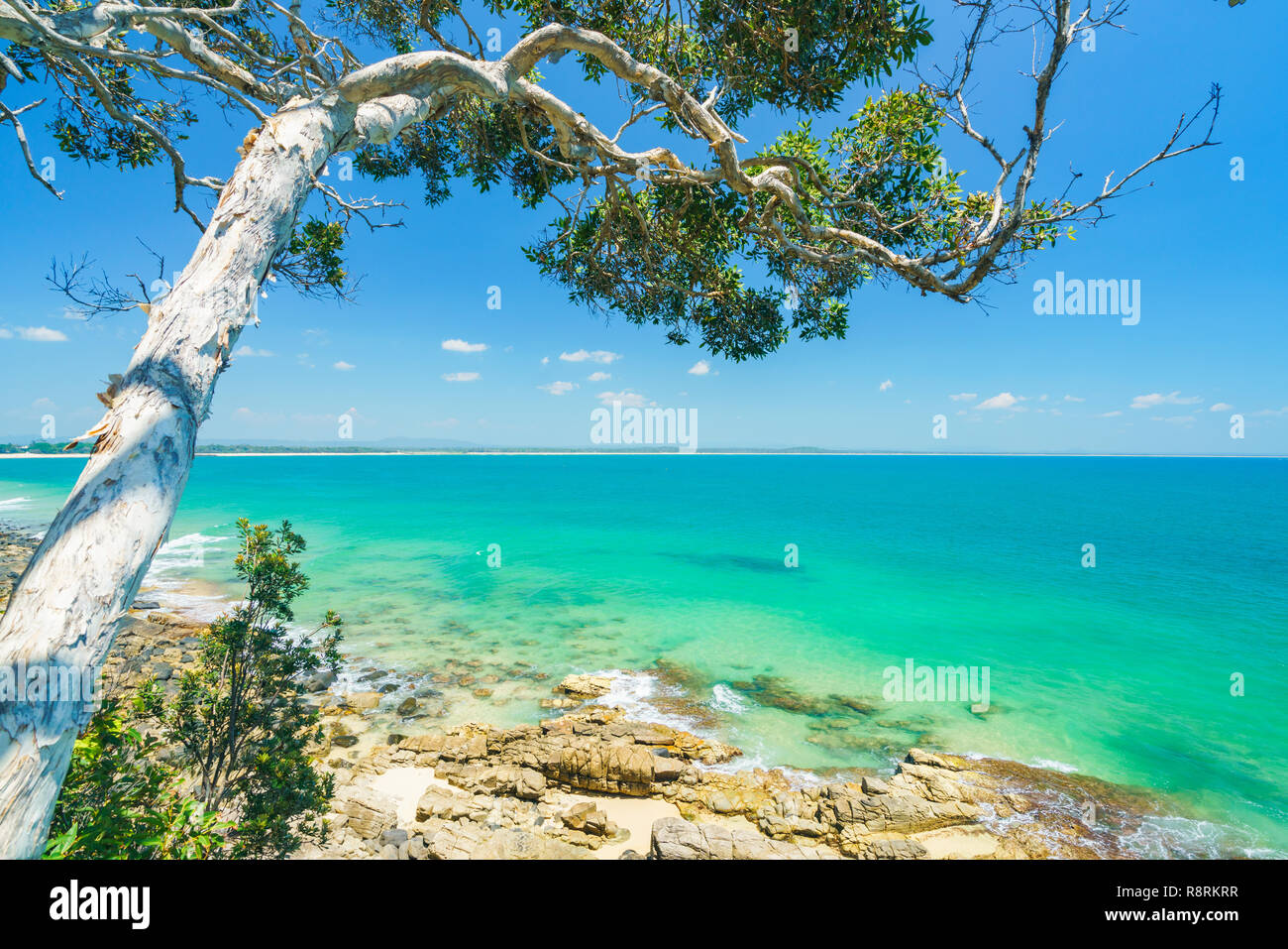 Noosa National Park on a perfect day with blue water and pandanus palms ...