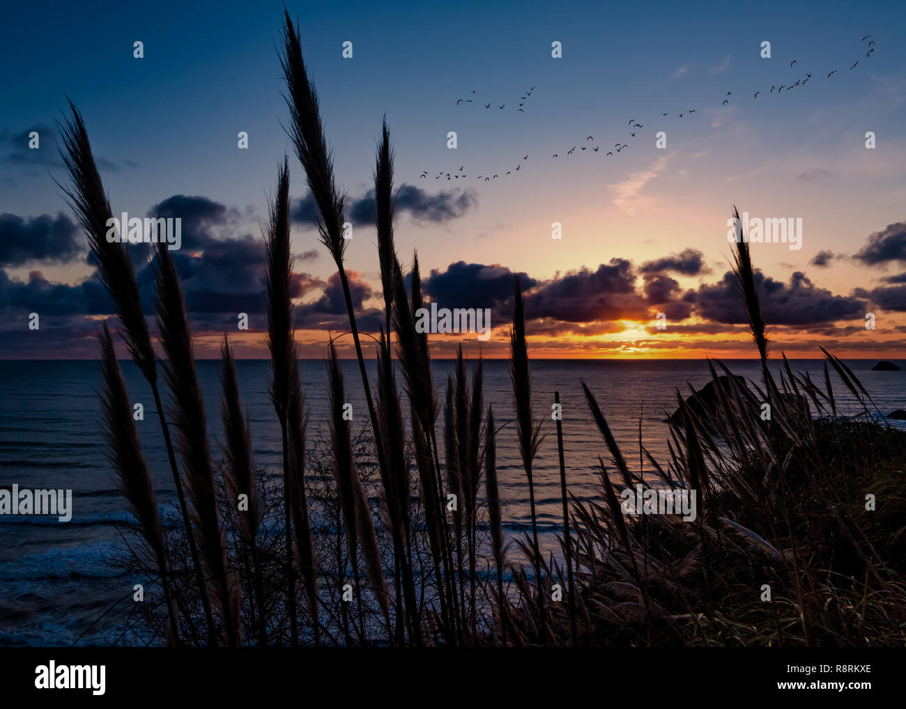 Beautiful Sunset Over Trinidad, California, Color Image Stock Photo - Alamy